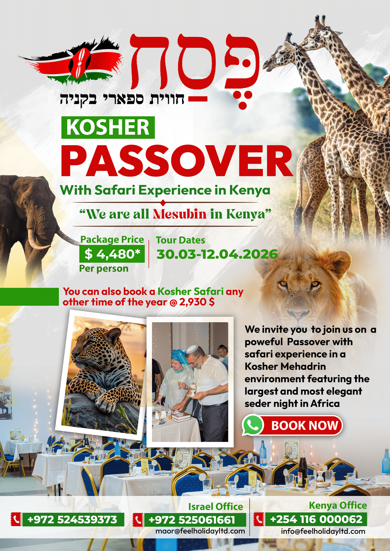 Kosher Passover 2026 | Feel holiday